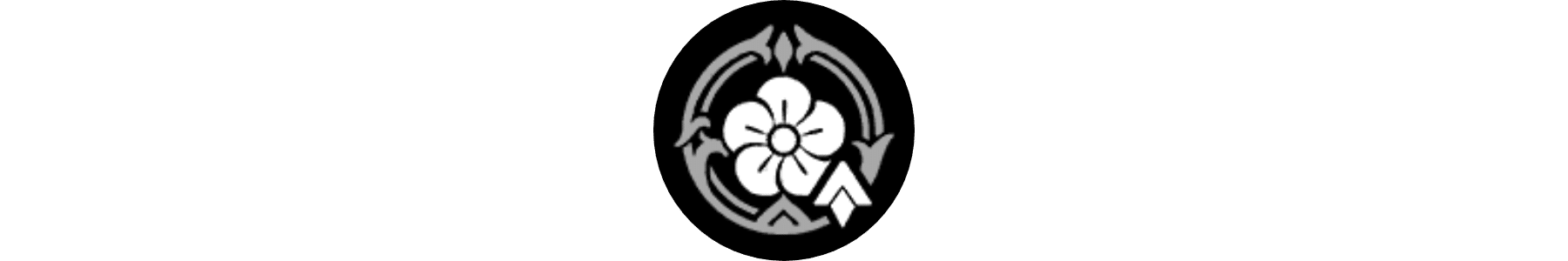 Honkai Star Rail Ruan Mei Guide
