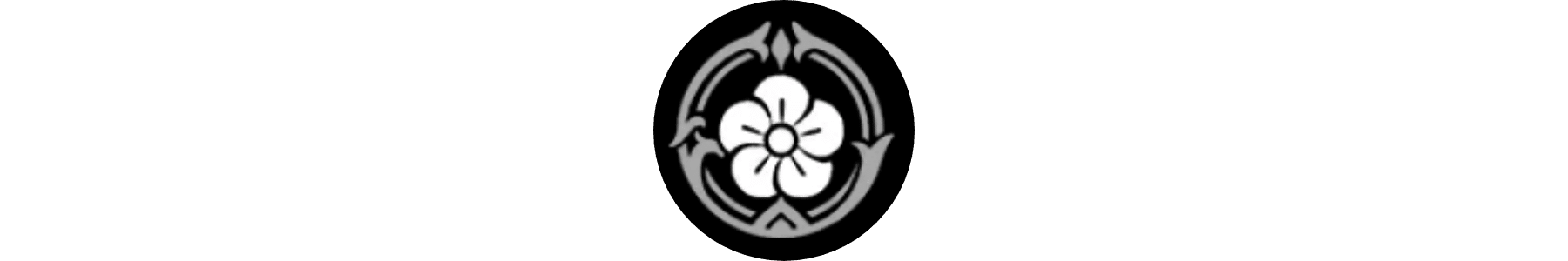 Honkai Star Rail Ruan Mei Guide