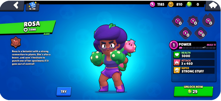 Brawl Stars Rosa Guide