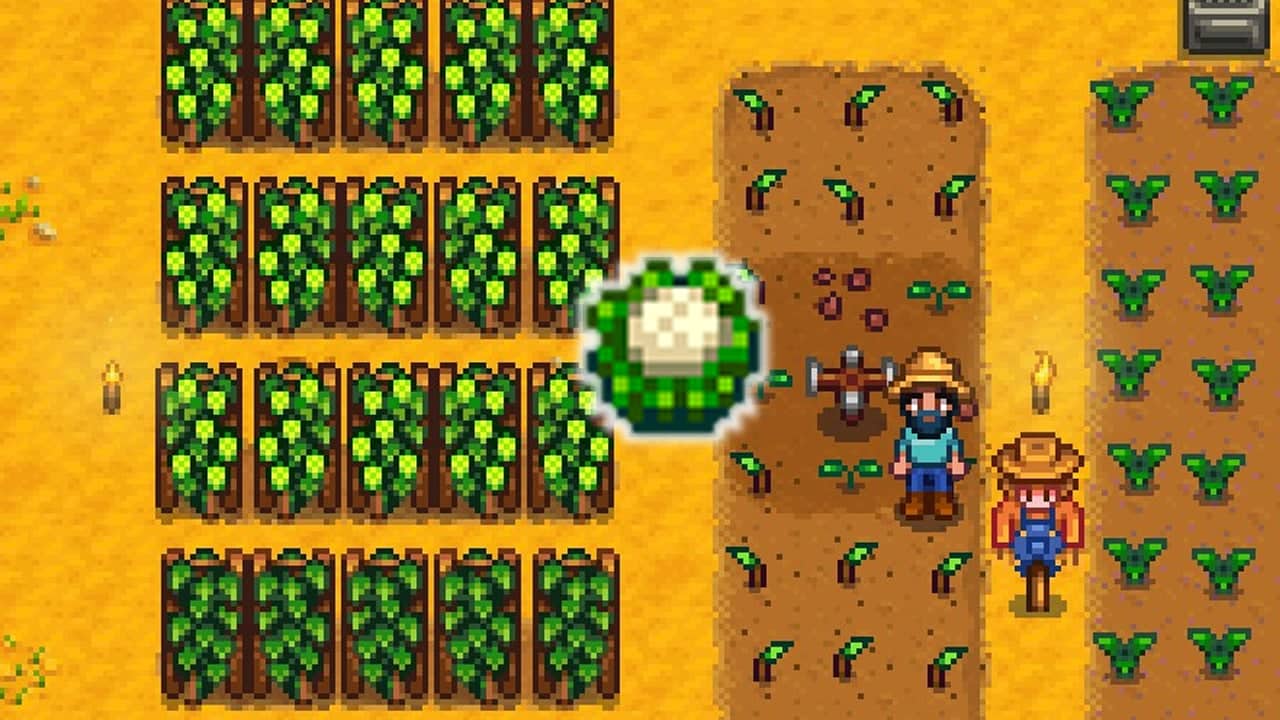 Stardew Valley Best Crops - Theria Games